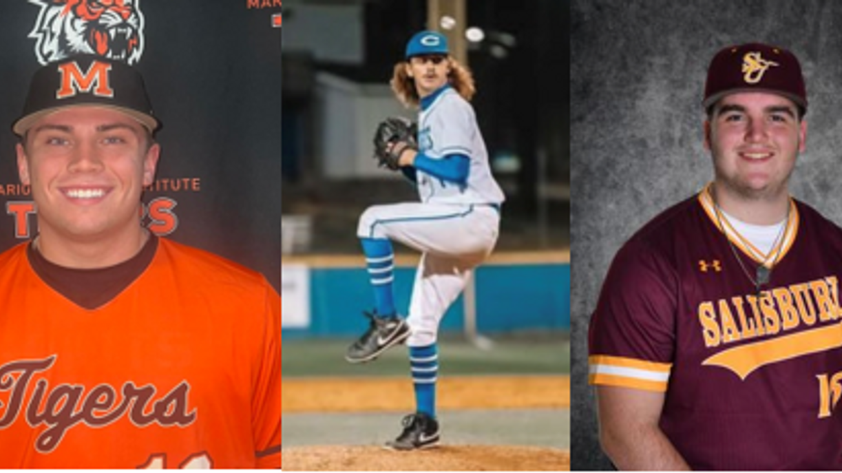 News: Welcome Our 3 Newest Clovers - Clayton Clovers