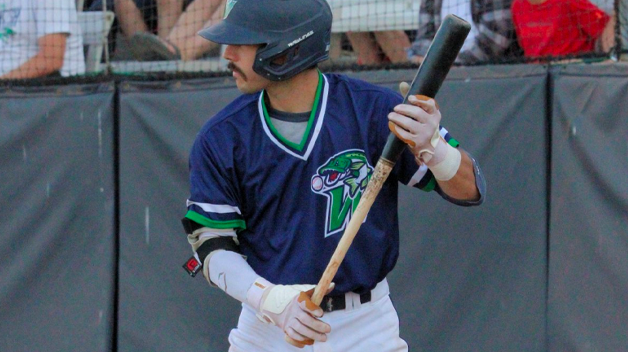 News: Majors Jolt Jackfish - Welland Jackfish Baseball Niagara's ...