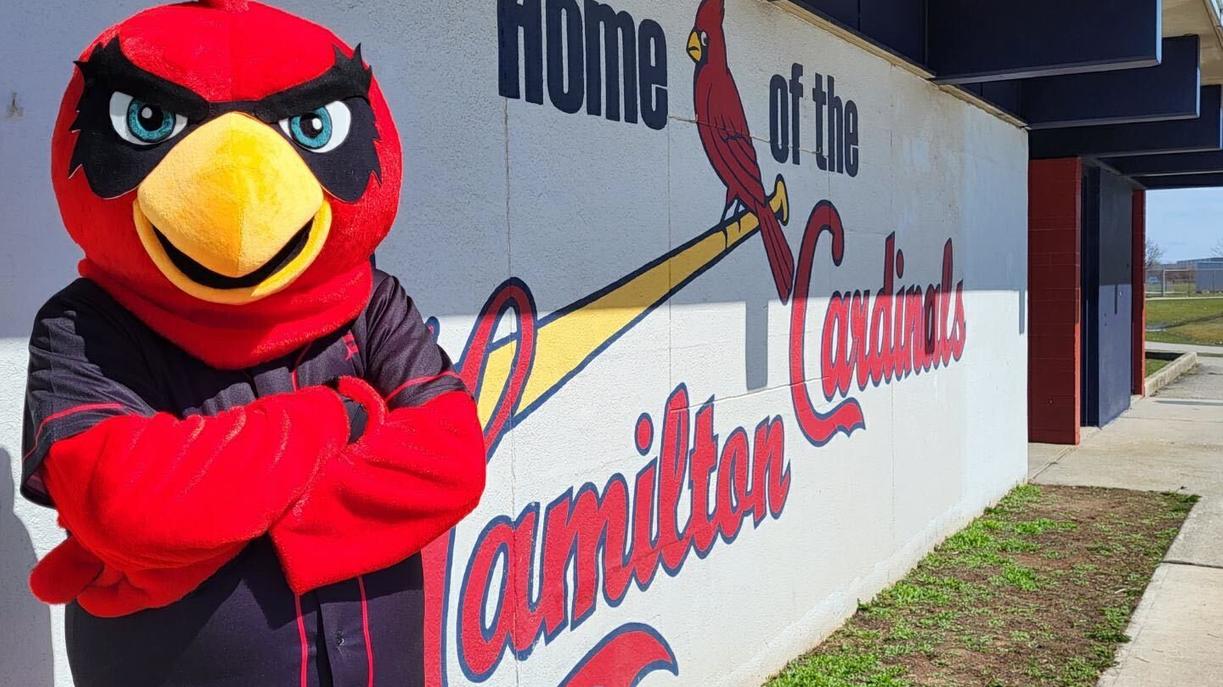 News: BERNIE R. BIRD SELECTED AS WINNING MASCOT NAME! - Hamilton ...