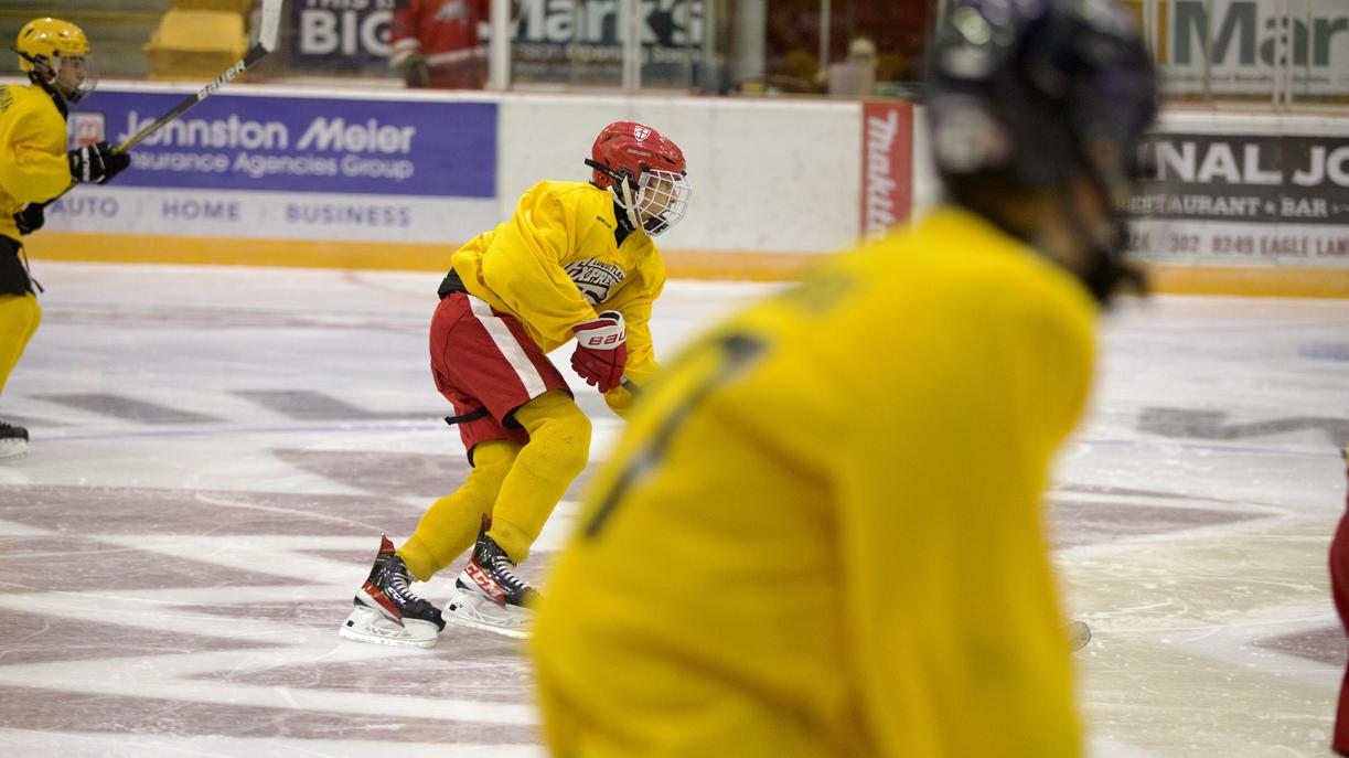 News: 2024 BCSHL Showcase Dates are set... - British Columbia Spring ...