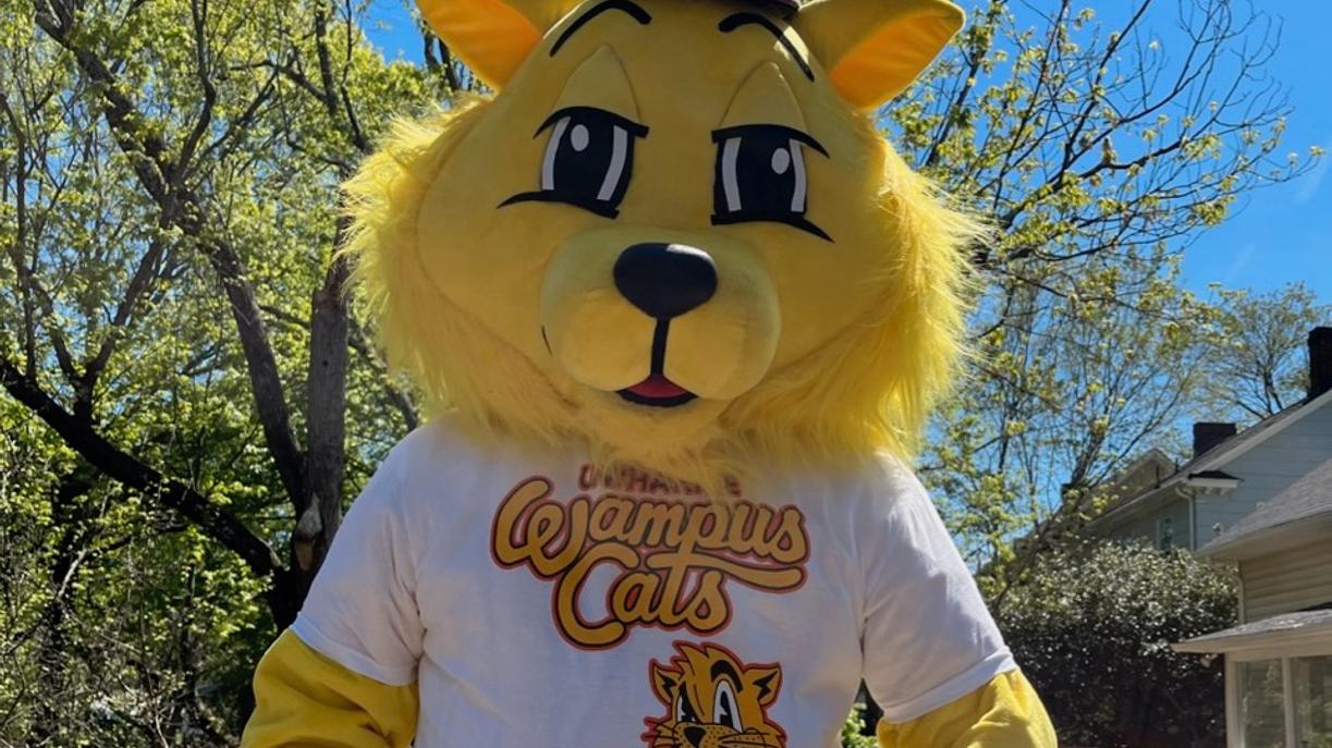 News: The winner is...Catty Wampus! - Uwharrie Wampus Cats