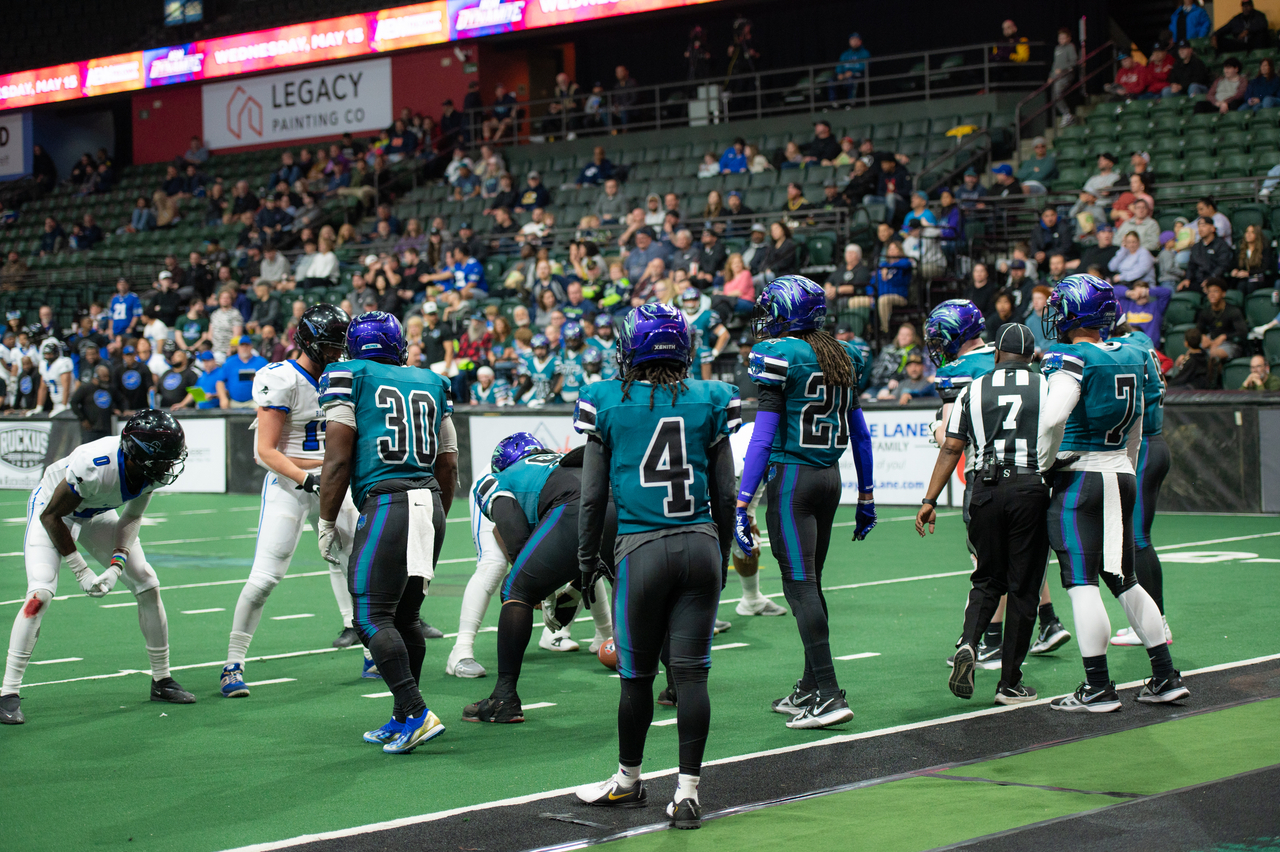 Recent Photos - Washington Wolfpack