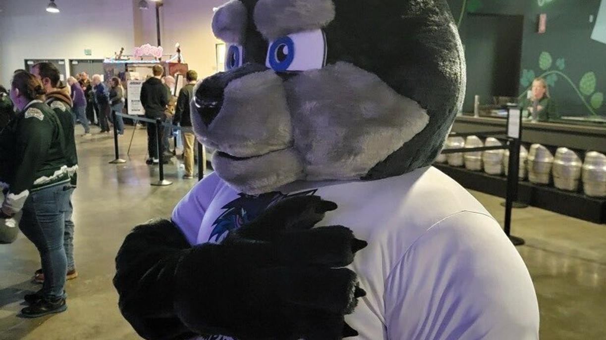 News: Meet Our Mascot- Apollo! - Washington Wolfpack